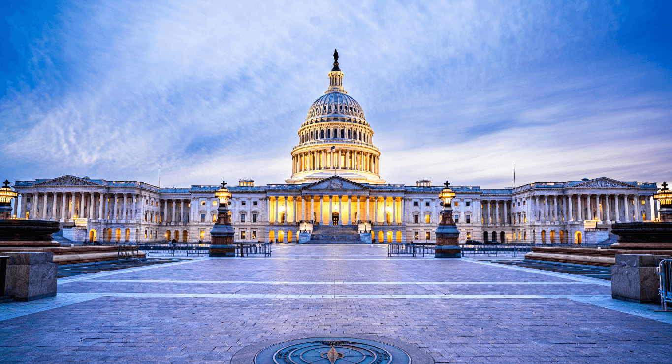 Government Contracting Services
